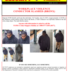 All News | TWU Local 100